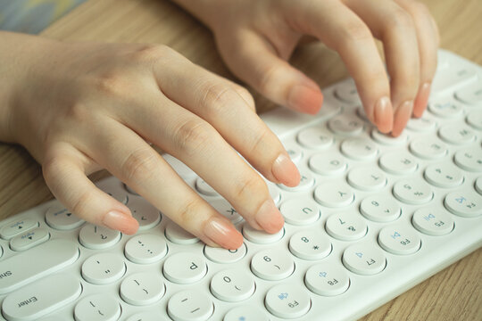 รูปภาพCatamite – เลือกดูภาพถ่ายสต็อก เวกเตอร์ และวิดีโอ1,098 | Adobe Stock