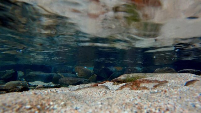 "Water Surface Underwater" Images – Browse 50 Stock Photos, Vectors ...