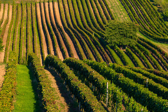 Winw=-Bilder: Stock-Fotos & -Videos. | Adobe Stock