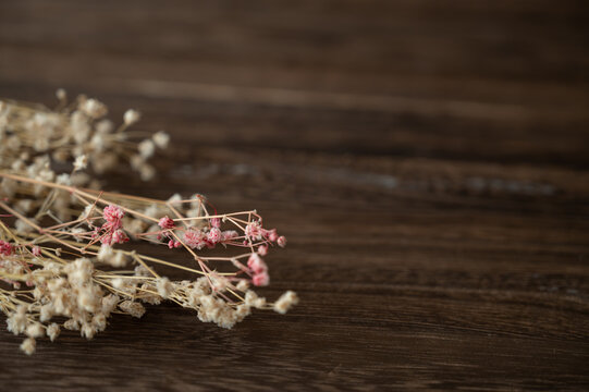 LAS 946,527 MEJORES IMÁGENES, FOTOS DE ARCHIVO Y VECTORES DE Tierna ...