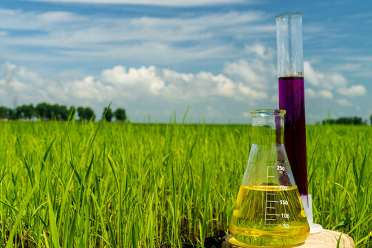 Agrochemistry Images – Browse 981 Stock Photos, Vectors, and Video ...