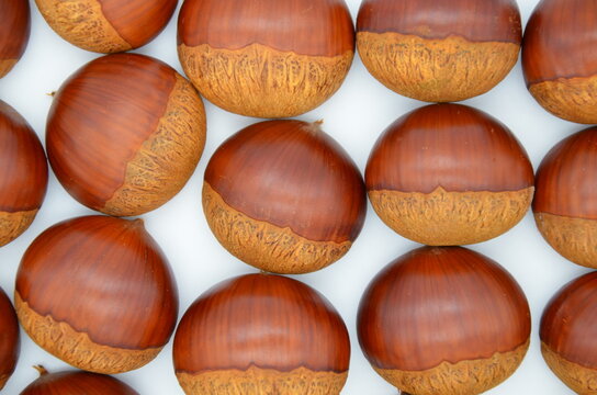 Maron 画像 - 参照 1,323 Stock 写真、ベクターおよびビデオ | Adobe Stock