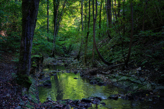 Tief bilder – Bläddra bland 12,673 stockfoton, vektorer och videor ...