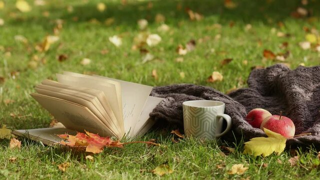 Tumn Images – Browse 55 Stock Photos, Vectors, and Video | Adobe Stock