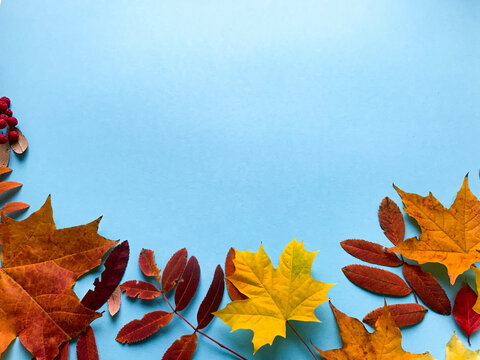 Blue Autumn Images – Browse 3,199,734 Stock Photos, Vectors, and Video ...