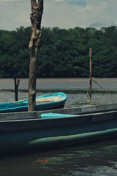 Navega Images – Browse 90 Stock Photos, Vectors, and Video | Adobe Stock