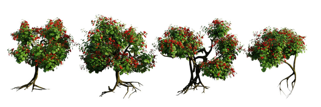 รูปภาพFructify – เลือกดูภาพถ่ายสต็อก เวกเตอร์ และวิดีโอ580 | Adobe Stock