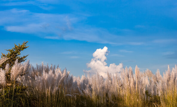 Kashful Images – Browse 246 Stock Photos, Vectors, and Video | Adobe Stock