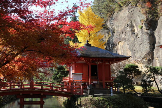 รูปภาพCatamite – เลือกดูภาพถ่ายสต็อก เวกเตอร์ และวิดีโอ1,098 | Adobe Stock