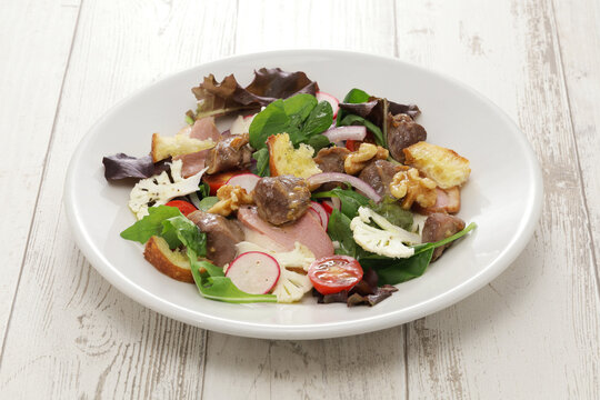 Gizzard Images – Browse 4,900 Stock Photos, Vectors, and Video | Adobe ...