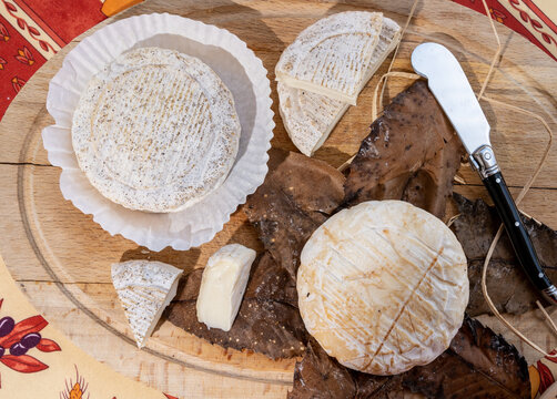 LAS 4,276 MEJORES IMÁGENES, FOTOS DE ARCHIVO Y VECTORES DE Rafia ...