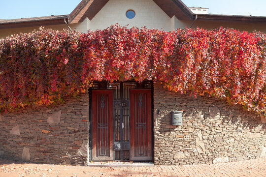 Vici Bilder – Durchsuchen 115 Archivfotos, Vektorgrafiken und Videos | Adobe Stock