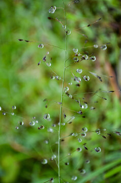 Amorseco Images – Browse 85 Stock Photos, Vectors, and Video | Adobe Stock