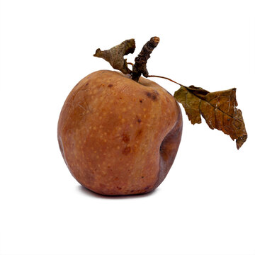 Oxidation Apple Images – Browse 223 Stock Photos, Vectors, and Video ...