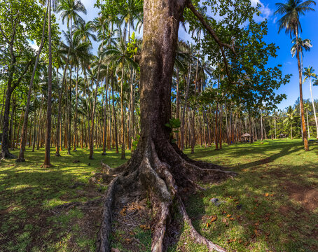 รูปภาพBadamier – เลือกดูภาพถ่ายสต็อก เวกเตอร์ และวิดีโอ101 | Adobe Stock
