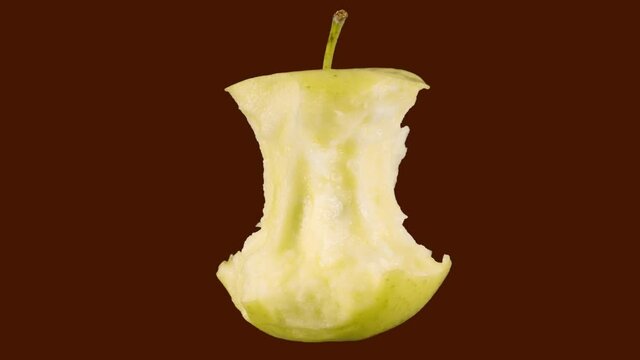 "Apple Core" Images – Browse 8,074 Stock Photos, Vectors, and Video ...