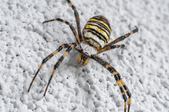 Noga Images – Parcourir 3,392 le catalogue de photos, vecteurs et ...