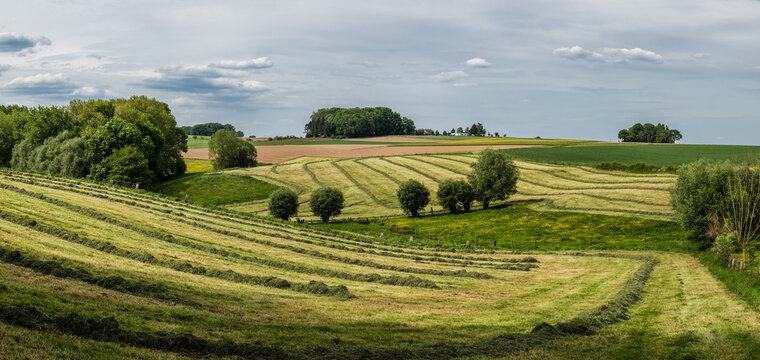 Afbeeldingen over Pajottenland – Blader in stockfoto's, vectoren en ...