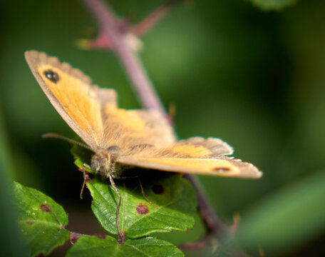 Gatekeeper Images – Browse 2,561 Stock Photos, Vectors, and Video ...