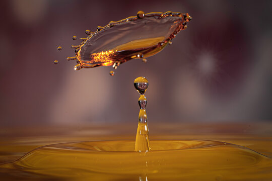 รูปภาพPleach – เลือกดูภาพถ่ายสต็อก เวกเตอร์ และวิดีโอ11,040 | Adobe Stock