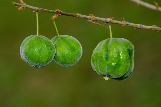 รูปภาพUvalha – เลือกดูภาพถ่ายสต็อก เวกเตอร์ และวิดีโอ7 | Adobe Stock