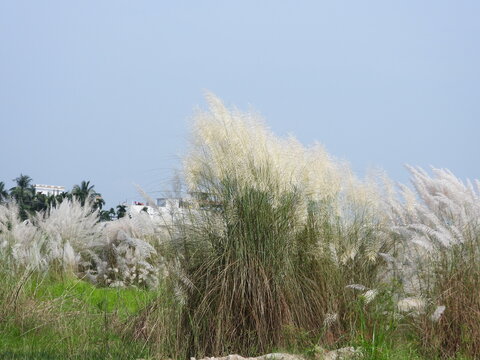 Kashful Images – Browse 246 Stock Photos, Vectors, and Video | Adobe Stock