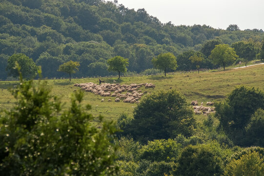 รูปภาพ"Baca – เลือกดูภาพถ่ายสต็อก เวกเตอร์ และวิดีโอ2,038 | Adobe Stock