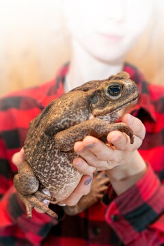 Haggish Bilder – Durchsuchen 176 Archivfotos, Vektorgrafiken und Videos ...