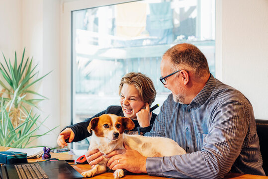 "Dog Bilder – Durchsuchen 4,649,085 Archivfotos, Vektorgrafiken und ...