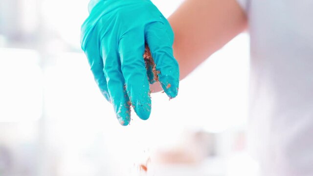 "Food Lab" Bilder – Durchsuchen 54 Archivfotos, Vektorgrafiken und ...