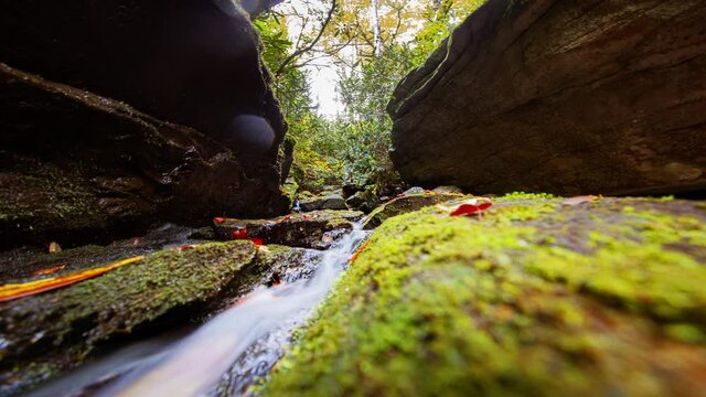 Imagens de 2.5D – Explore Fotografias do Stock, Vetores e Vídeos de 461 ...