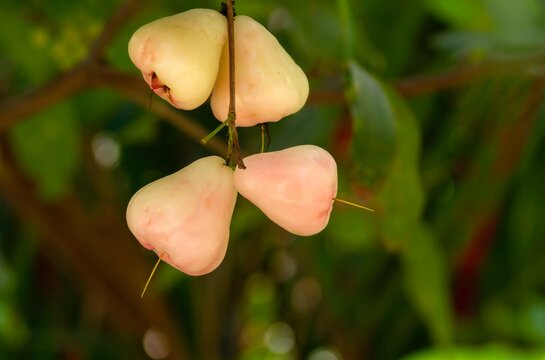 รูปภาพJamalac – เลือกดูภาพถ่ายสต็อก เวกเตอร์ และวิดีโอ2,352 | Adobe Stock