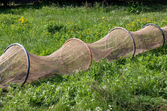 รูปภาพFishingnet – เลือกดูภาพถ่ายสต็อก เวกเตอร์ และวิดีโอ384 | Adobe Stock