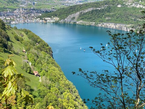 Seeli-Bilder: Stock-Fotos & -Videos. | Adobe Stock