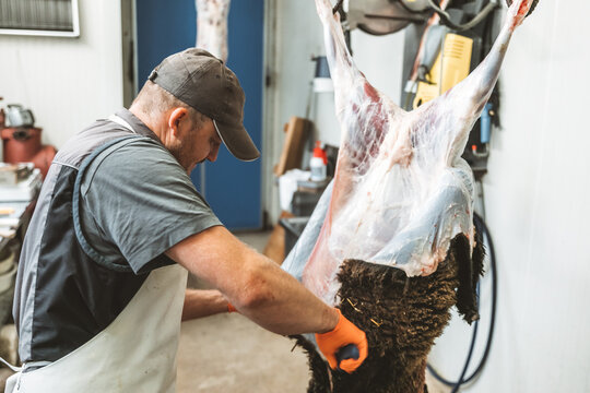 Metzger Bilder – Durchsuchen 341,747 Archivfotos, Vektorgrafiken und ...