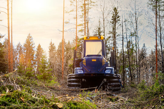 รูปภาพLumberjacking – เลือกดูภาพถ่ายสต็อก เวกเตอร์ และวิดีโอ378,961 ...