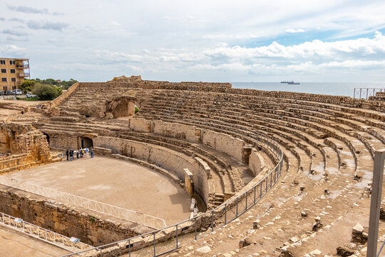 Mingy Bilder – Durchsuchen 3,143 Archivfotos, Vektorgrafiken und Videos ...