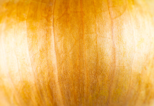 Onion Skin Texture