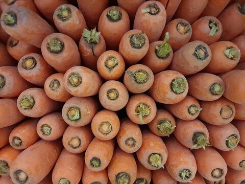 Carotinoide Bilder – Durchsuchen 4,828 Archivfotos, Vektorgrafiken und ...