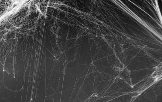 Spider Web Texture Images – Browse 4,217,730 Stock Photos, Vectors, and ...