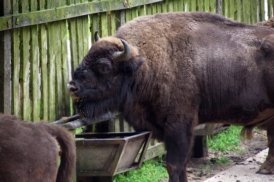 Imágenes de Wiesent: descubre bancos de fotos, ilustraciones, vectores ...