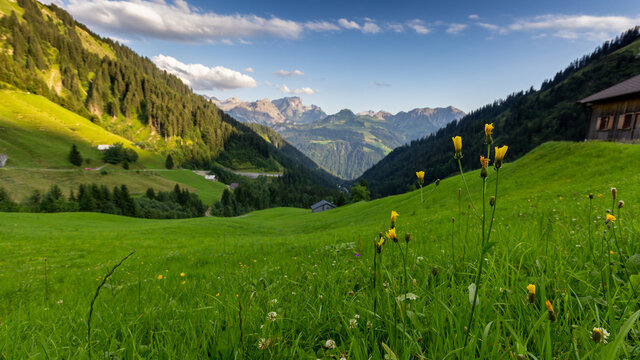 รูปภาพCvk – เลือกดูภาพถ่ายสต็อก เวกเตอร์ และวิดีโอ208 | Adobe Stock