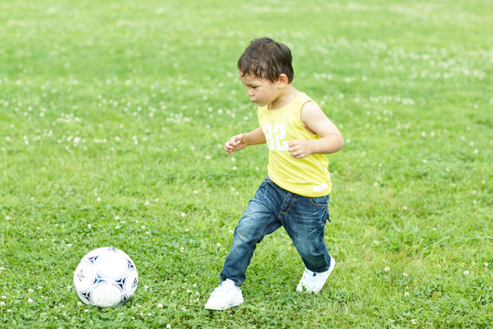 Sunnily bilder – Bläddra bland 8,525 stockfoton, vektorer och videor ...
