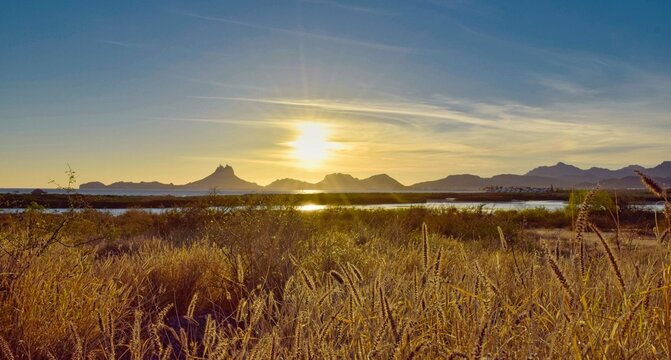 75 BEST Tetakawi IMAGES, STOCK PHOTOS & VECTORS | Adobe Stock