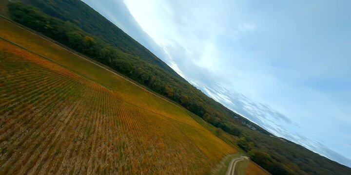 Cabotte Bilder – Durchsuchen 124 Archivfotos, Vektorgrafiken und Videos ...