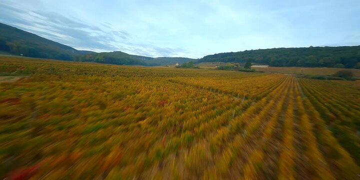 Cabotte Bilder – Durchsuchen 124 Archivfotos, Vektorgrafiken und Videos ...