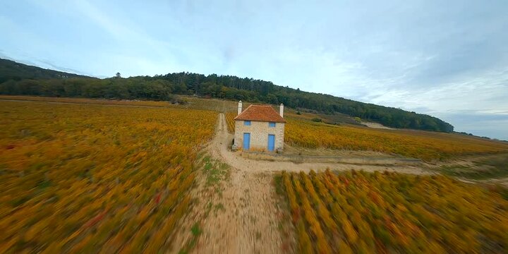 Cabotte Bilder – Durchsuchen 124 Archivfotos, Vektorgrafiken und Videos ...