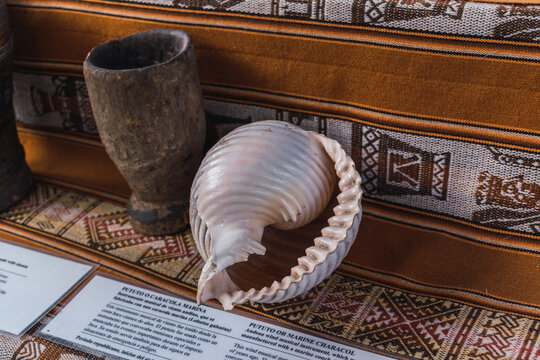 Imágenes de Basijas: descubre bancos de fotos, ilustraciones, vectores ...