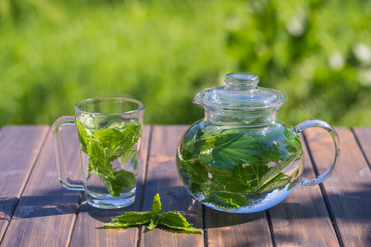 Brennesseltee Bilder – Durchsuchen 2,860 Archivfotos, Vektorgrafiken ...