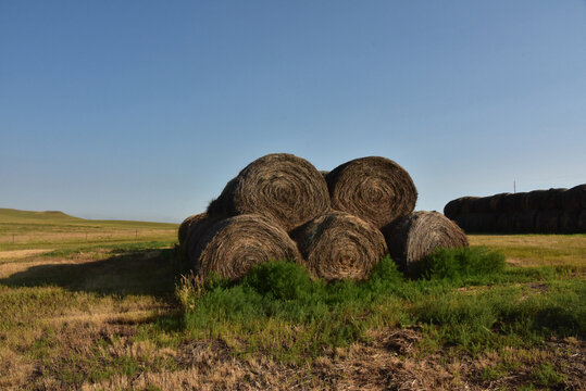 Hay-Bales Images – Browse 63 Stock Photos, Vectors, and Video | Adobe Stock
